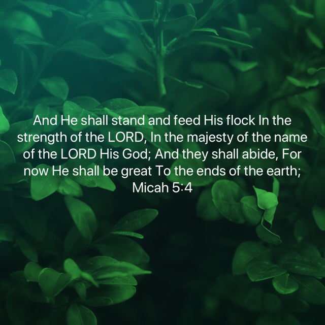 Jesus Feeds His Flock – Living the Abundant Life