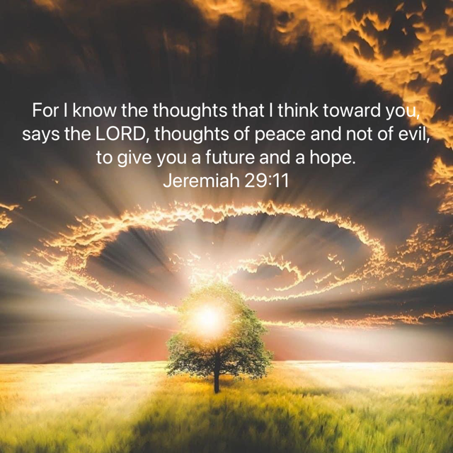 Let Go and Let God Build Your Life and Future! – Living the Abundant Life