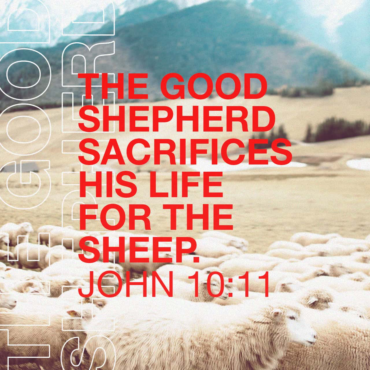 Christ is the Good Shepherd! – Living the Abundant Life